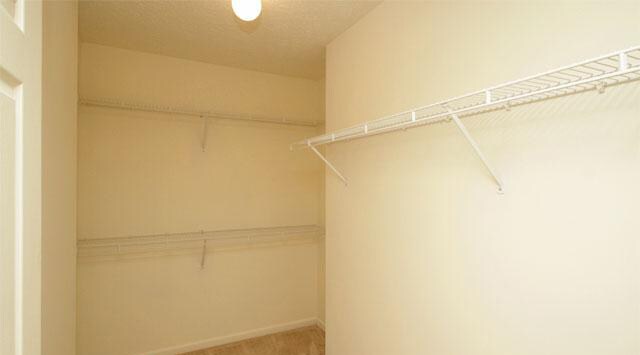 Springbrook Meadows Apartments Rentals - Jackson, MI | Apartments.com