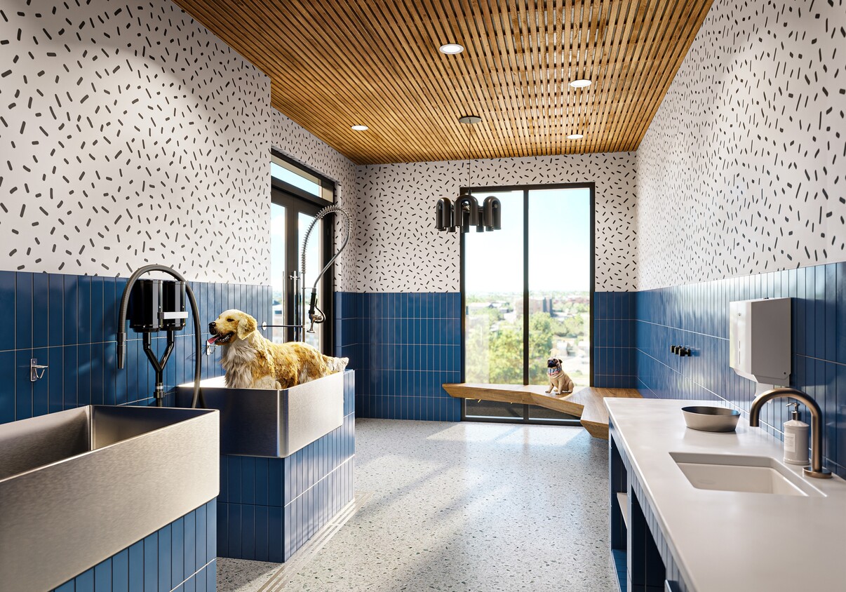 The Waller - Apartments in Austin, TX | Apartments.com