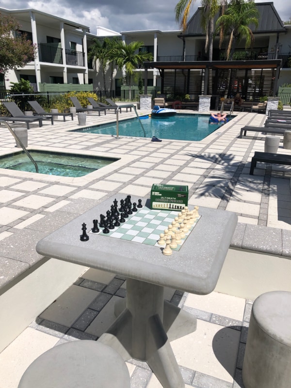 Apartments for Rent with a Swimming Pool in Swann Estates, Tampa ...