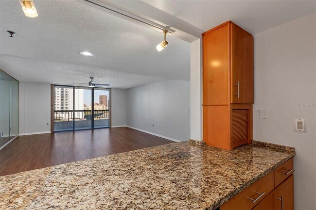 530 E Central Blvd Unit 1004, Orlando, FL 32801 - Condo for Rent in ...