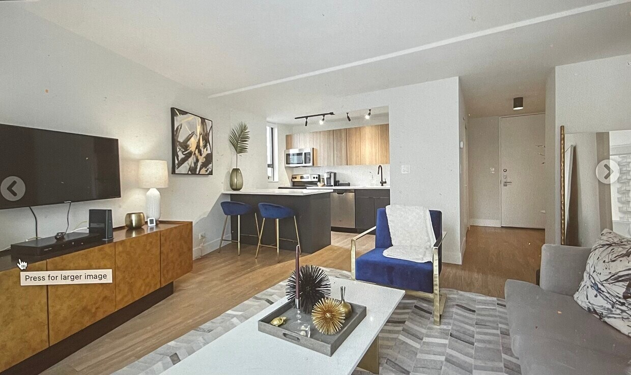 2 E Oak St Unit 1208, Chicago, IL 60611 - Condo for Rent in Chicago, IL ...