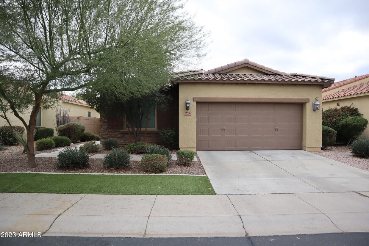 255 E Locust Dr, Chandler, AZ 85286 - House Rental in Chandler, AZ ...