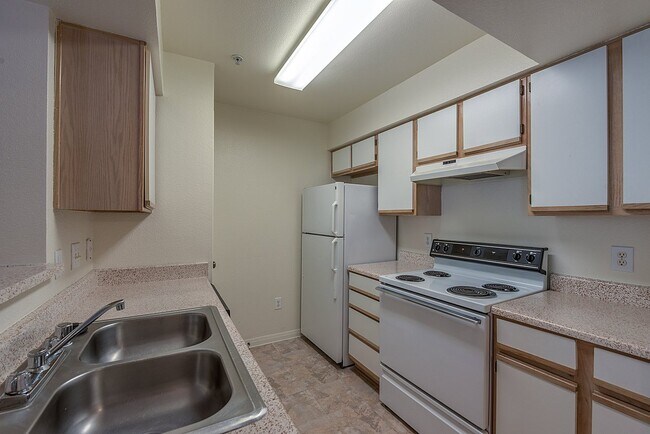 Forest View - Apartments in Spring, TX | Apartments.com