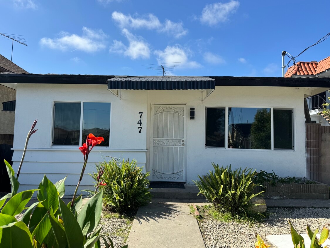 Houses For Rent In San Pedro Canull