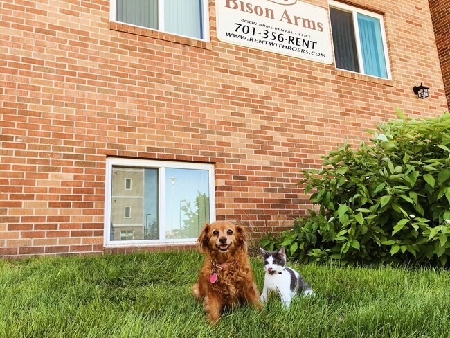 Bison Arms Apartments - Apartments in Fargo, ND | Apartments.com