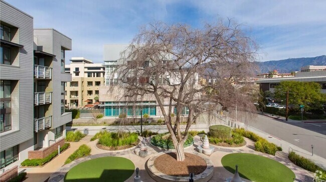 Average Rent in Pasadena, CA - Rental Market Trends | Apartments.com