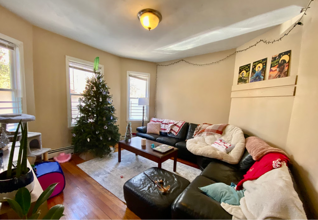 22 Fisher Ave Unit 4, Boston, MA 02120 - Apartments in Boston, MA ...
