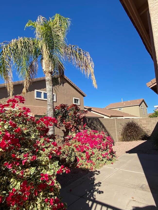 6730 E Preston St, Mesa, AZ 85215 - House Rental in Mesa, AZ ...