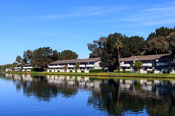 Sand Cove - Apartments in Foster City, CA | Apartments.com