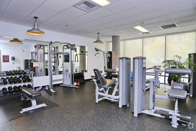 Circa Green Lake Apartments - Apartments in Seattle, WA | Apartments.com