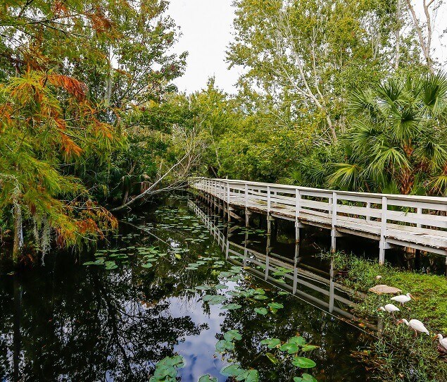 Is Lake Underhill a Good Place To Live in Orlando FL? - Neighborhood ...