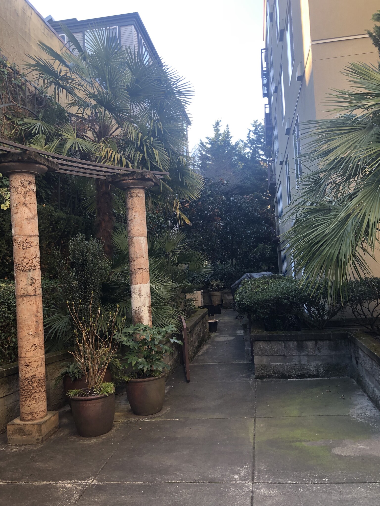 1711 E Olive Way Unit Plaza del Sol, Seattle, WA 98102 - Condo for Rent ...