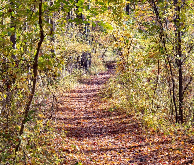 Is Spencer a Good Place To Live in Manchester CT? - Neighborhood Guide ...