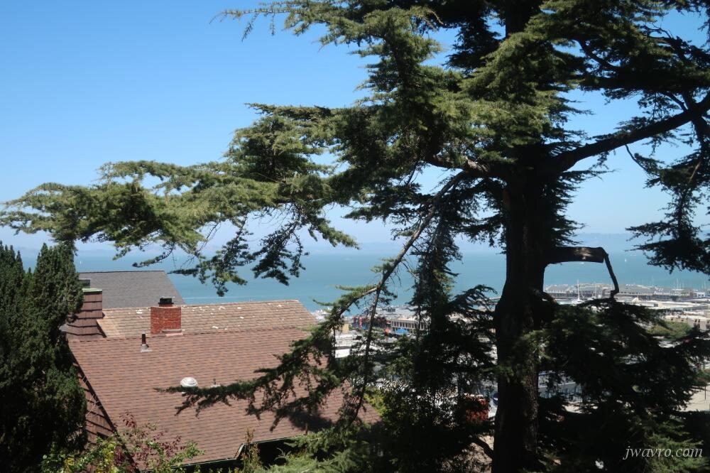 900 Chestnut St Unit 410, San Francisco, CA 94109 - Condo for Rent in ...