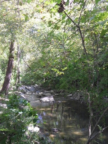 2972 Maple Street Hollister MO - 2972 Maple St Hollister, MO 65672 ...