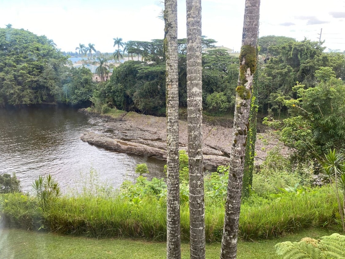 42 Wainaku St, Hilo, HI 96720 - House Rental in Hilo, HI | Apartments.com