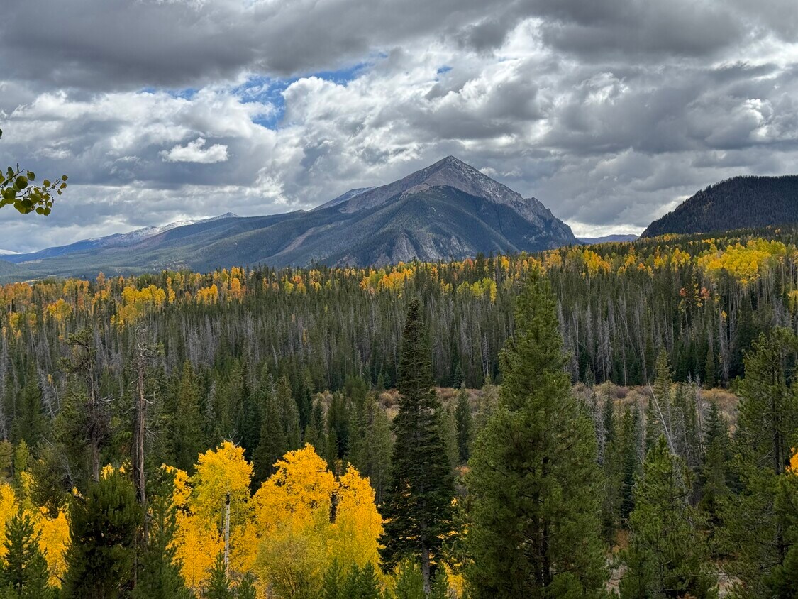 9460 Ryan Gulch Rd Unit 62, Silverthorne, CO 80498 - Condo for Rent in ...