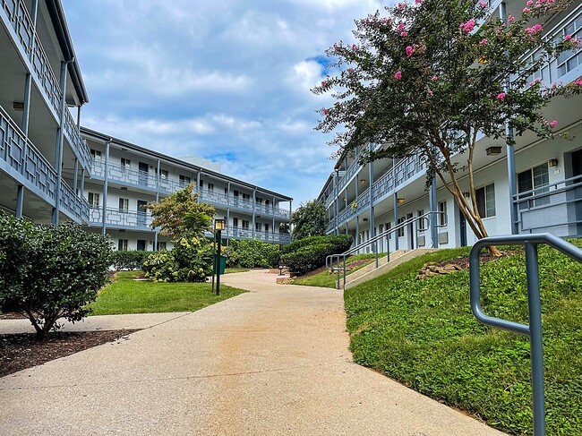 Maplehurst - 814 W Hill Ave Knoxville, TN | Apartments.com