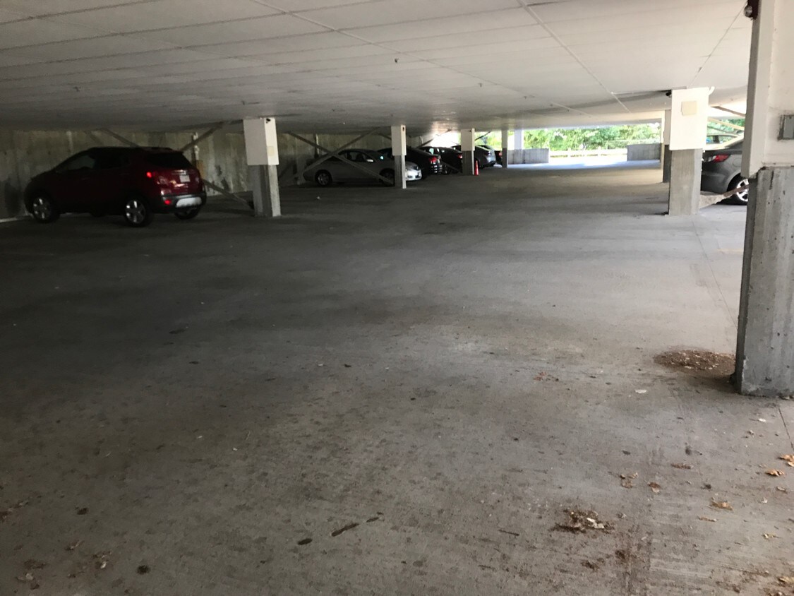 50 Adams St Unit 208, Worcester, MA 01604 - Room for Rent in Worcester ...