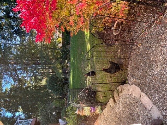 12939 SE 185th St, Renton, WA 98058 - House Rental in Renton, WA ...