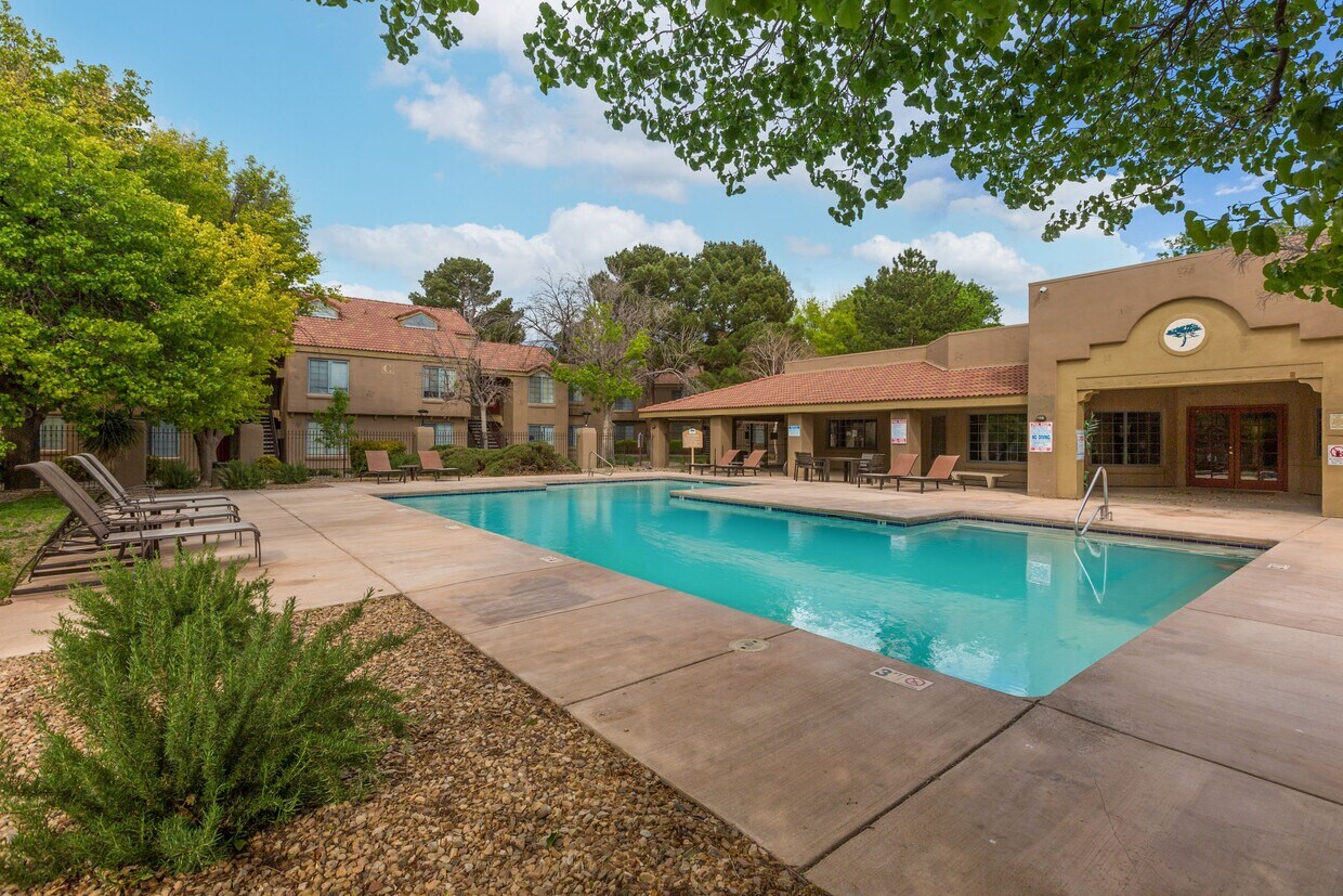 Cinnamon Tree - Apartments in Albuquerque, NM | Apartments.com