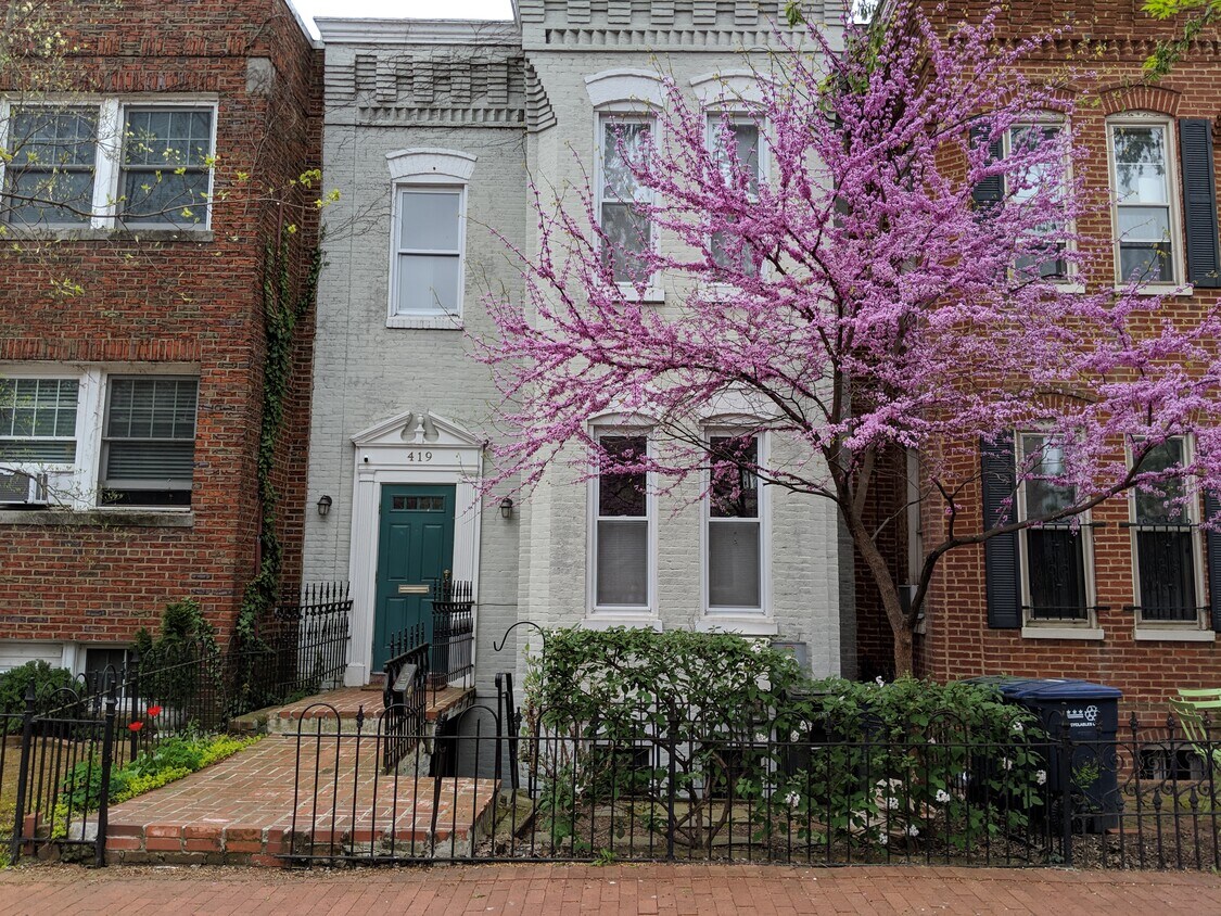 419 A St Ne, Washington, DC 20002 - Townhome Rentals in Washington DC ...