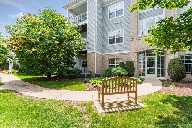1291 W Lake St Unit 205, Addison, IL 60101 - Condo for Rent in Addison ...