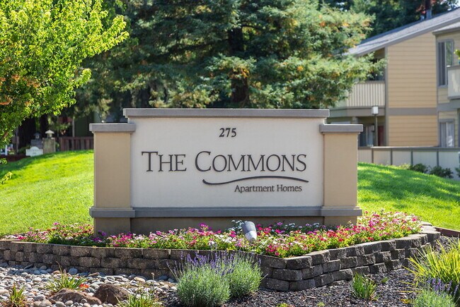 The Commons Apartments - Campbell, CA | Apartments.com