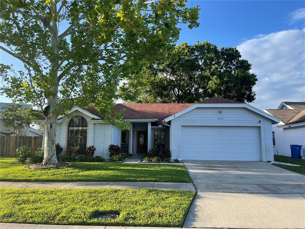 8907 Bayaud Dr, Tampa, FL 33626 - House Rental in Tampa, FL ...