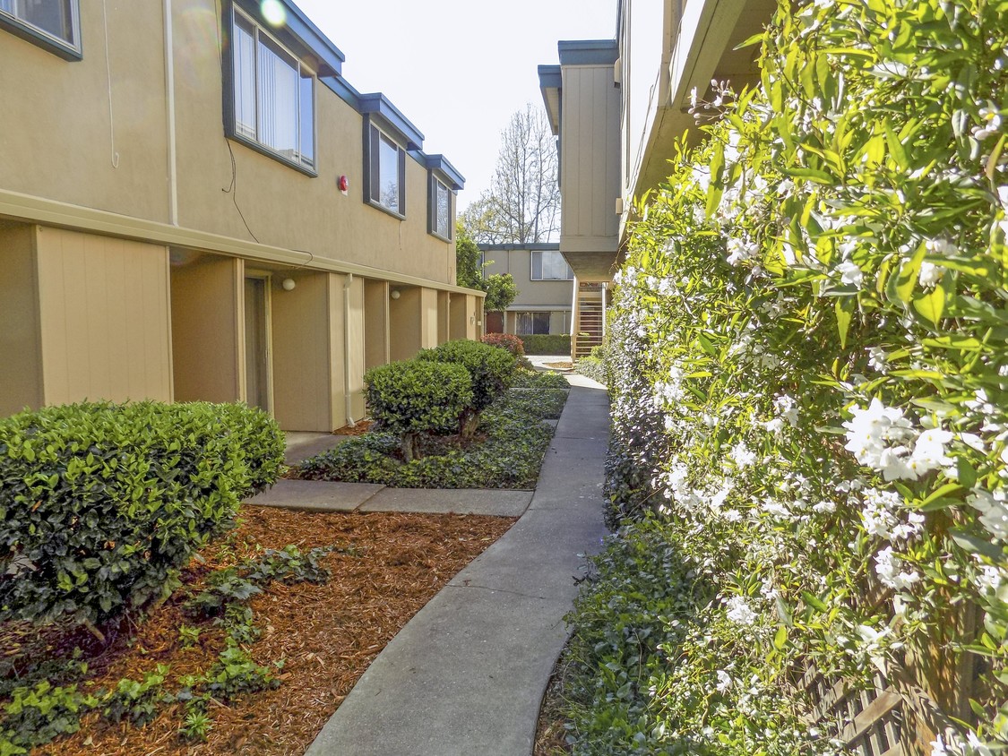 North Street Apartments - Apartments in Santa Rosa, CA | Apartments.com