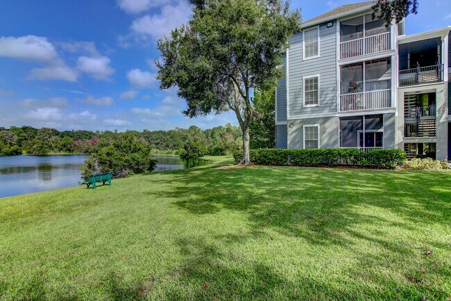 Sole at Citrus Park - Apartments in Tampa, FL | Apartments.com