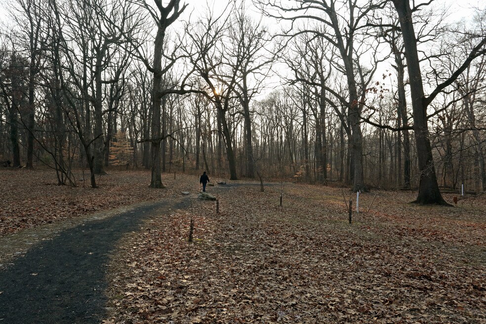 Is Cedarbrook-Stenton a Good Place To Live in Philadelphia PA ...