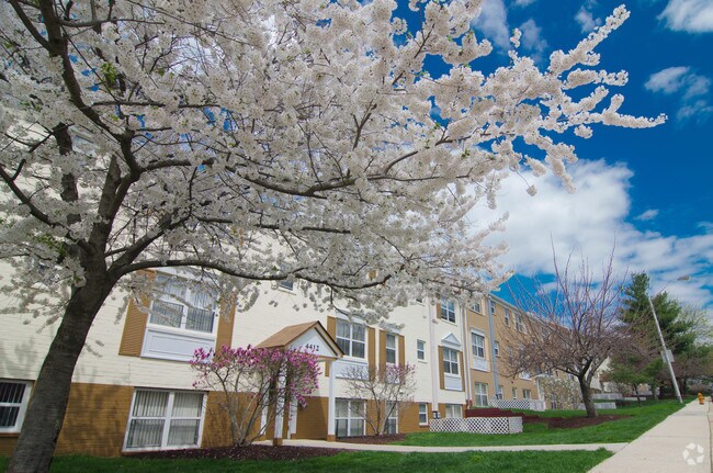 Palisades of Towson Rentals - Towson, MD | Apartments.com