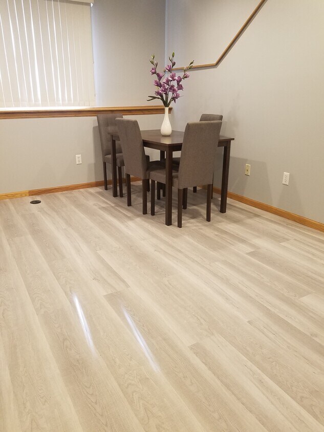 6616 88th Avenue North, Brooklyn Park, MN 55445 - Townhome Rentals in ...