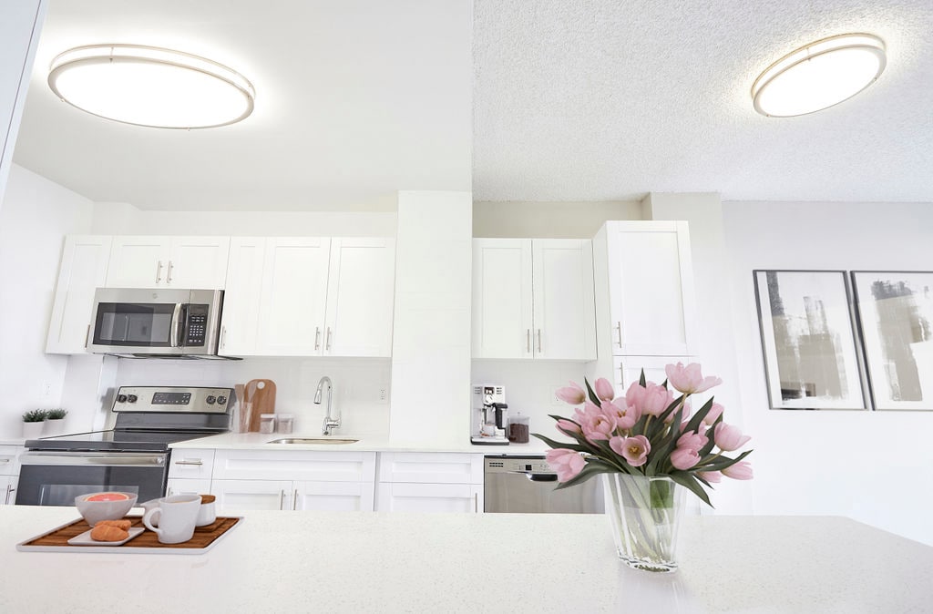 Aliro Apartments - North Miami, FL | Apartments.com