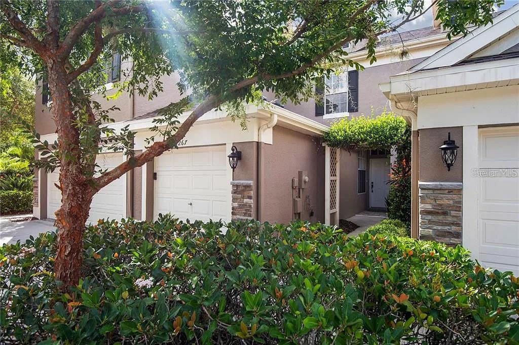 11267 Windsor Pl Cir, Tampa, FL 33626 - Townhome Rentals in Tampa FL ...