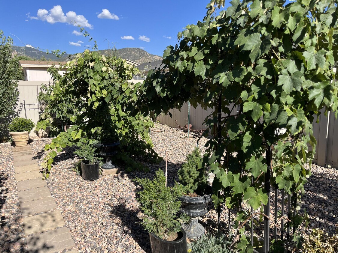 499 E 2150 N Cir, Cedar City, UT 84721 - House Rental in Cedar City, UT ...