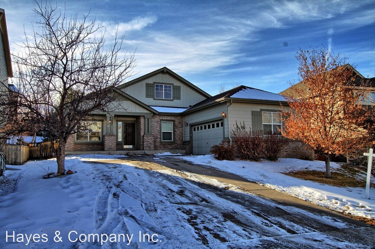 3857 Sunridge Terrace Dr, Castle Rock, CO 80109 - House Rental in ...