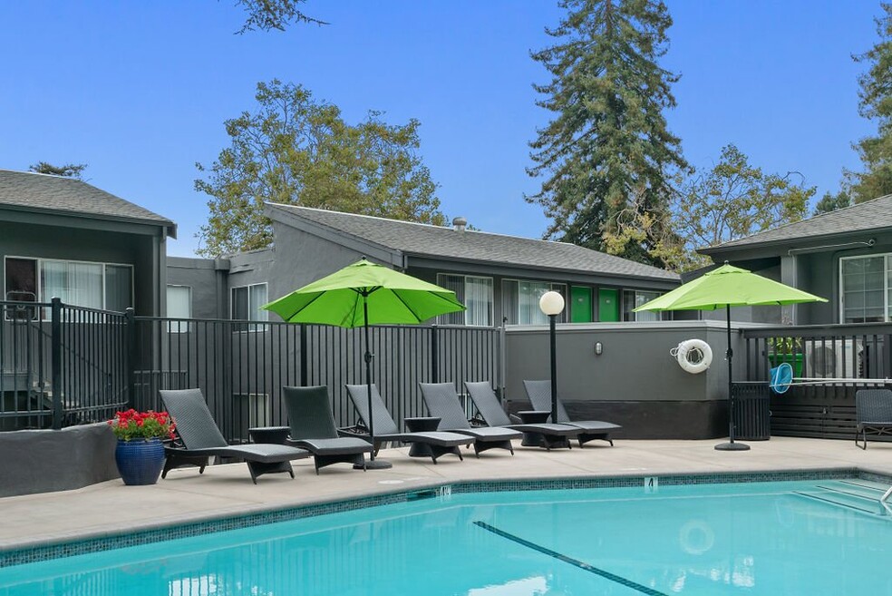 Pet-Friendly Apartments for Rent in Santa Cruz County, CA - 186 Rentals ...