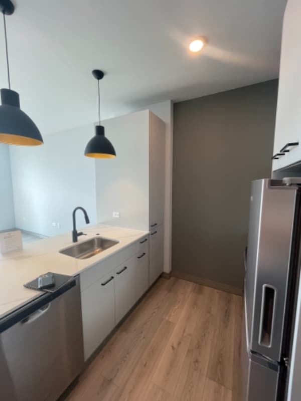 2173 N Elston Ave, Chicago, IL 60614 | Apartments.com