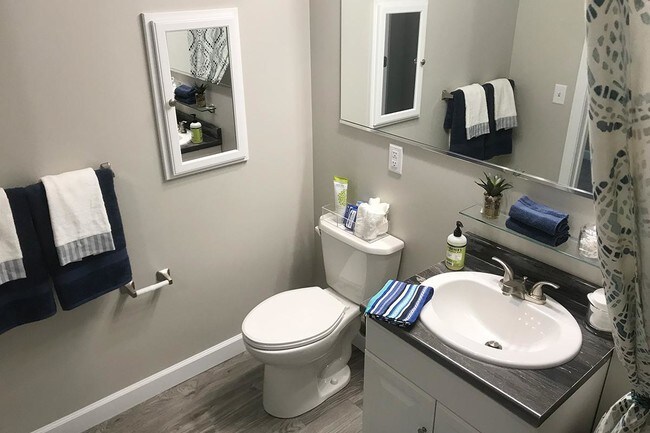 Alpine Commons Apartments - Amherst, MA | Apartments.com