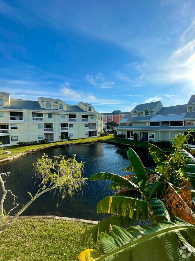 Azalea Apartments for Rent - Saint Petersburg, FL - 11 Rentals ...