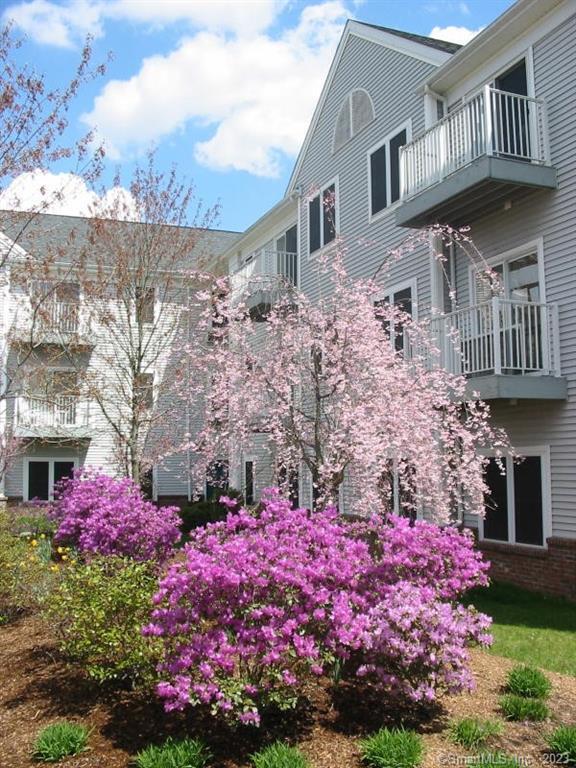 100C Danbury Rd Unit 3M, Ridgefield, CT 06877 - Room for Rent in ...