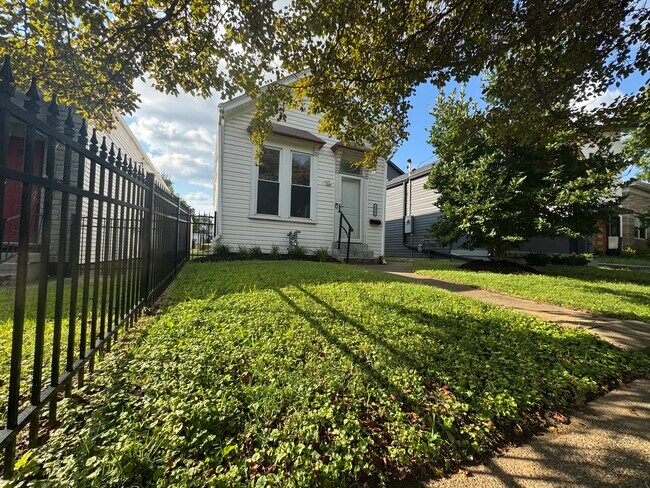 Cherokee Triangle Houses for Rent with High Ceilings - Louisville, KY