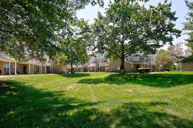 Apartments for Rent with a Dog Park Near Briar Mills Village ...