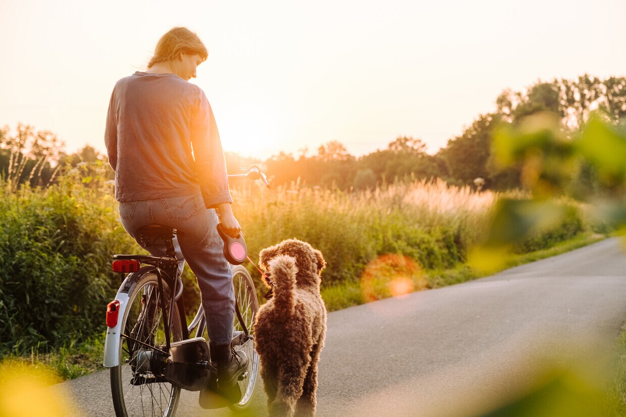 TOPOGRAPH - Apartments in Auburn, MA | Apartments.com