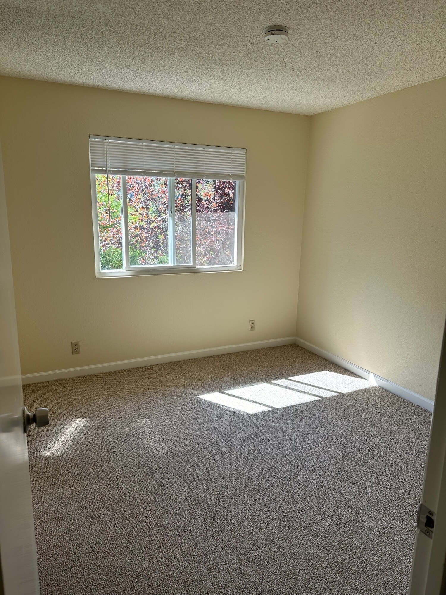 46654 Winema Common Unit 112, Fremont, CA 94539 - Condo for Rent in ...