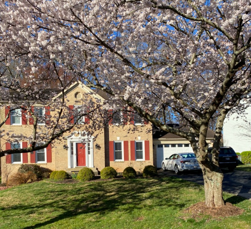 1413 Castle Cliff Pl, Silver Spring, MD 20904 | Apartments.com