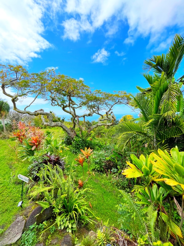 81-6467-6467 Hawai?I Belt Rd Unit 1, Kealakekua, HI 96750 | Apartments.com