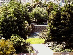 The Fillmore Center Rentals - San Francisco, CA | Apartments.com